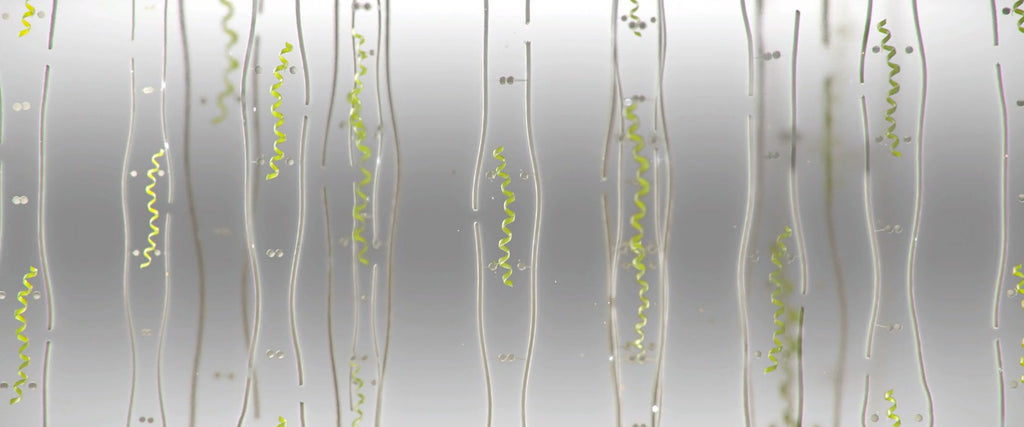 the benefits of K18PEPTIDE™, explained | K18 PRO