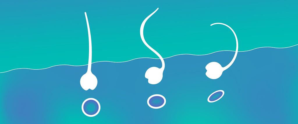 Science Class 08: how curls happen | K18 Hair